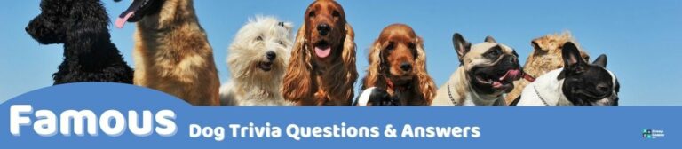 71 Fun Dog Trivia Questions (and Answers) | Group Games 101