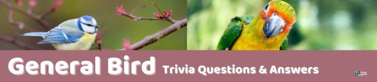 73 Interesting Bird Trivia Questions (and Answers)