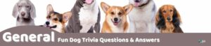 71 Fun Dog Trivia Questions (and Answers) | Group Games 101