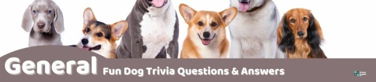 71 Fun Dog Trivia Questions (and Answers) | Group Games 101
