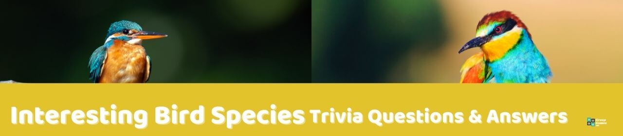 73 Interesting Bird Trivia Questions (and Answers)