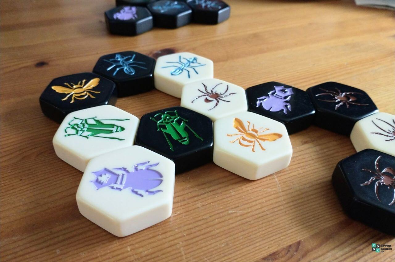 Hive: Rules and Gameplay Instructions | Group Games 101