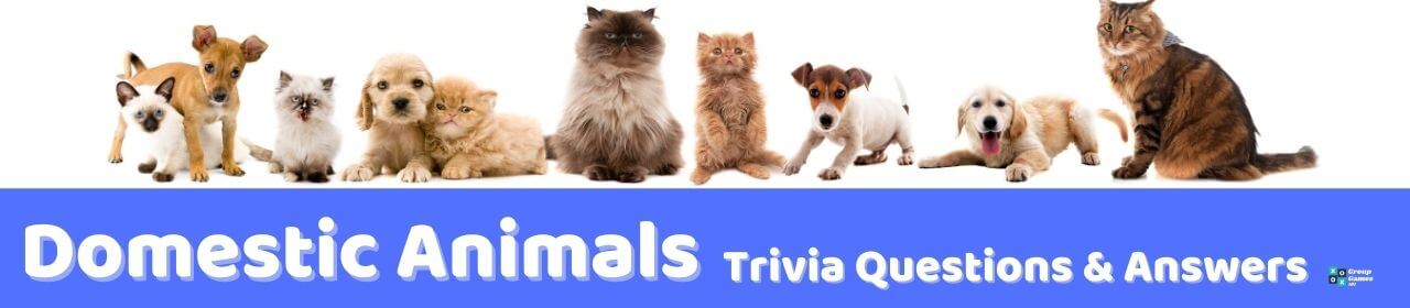 99 Animal Trivia Questions (and Answers) | Group Games 101