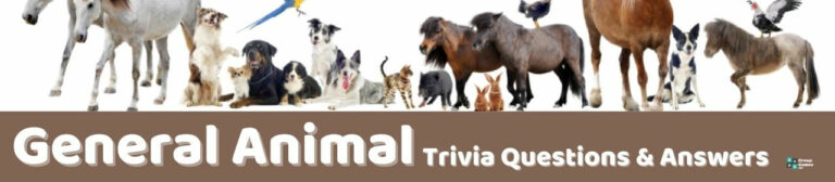 99 Animal Trivia Questions (and Answers) | Group Games 101