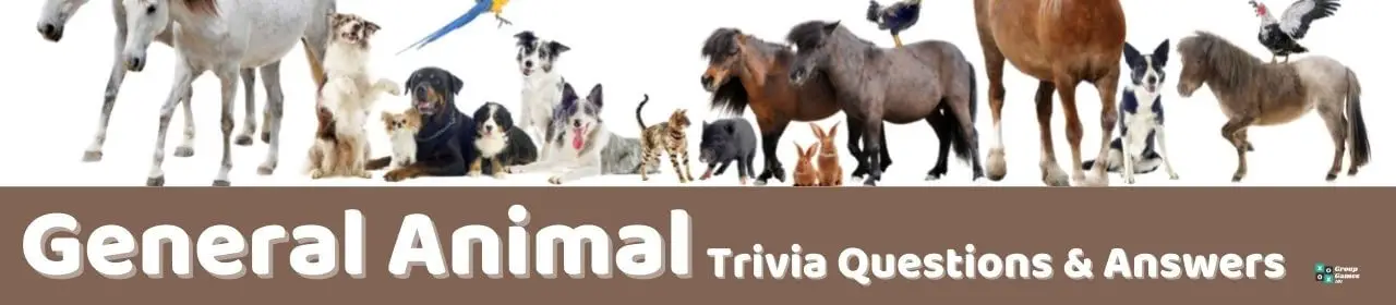 99 Animal Trivia Questions (and Answers) | Group Games 101