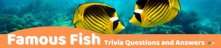57 Fish Trivia Questions (and Answers) | Group Games 101