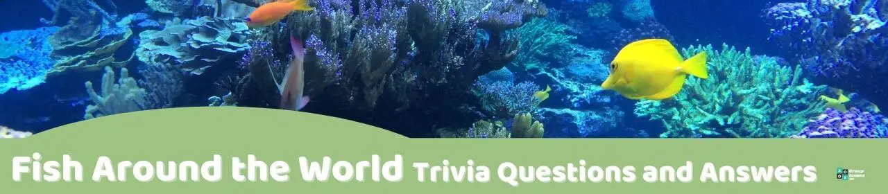 57 Fish Trivia Questions (and Answers) | Group Games 101