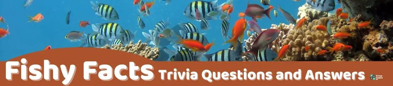 57 Fish Trivia Questions (and Answers) | Group Games 101