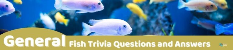 57 Fish Trivia Questions (and Answers) | Group Games 101