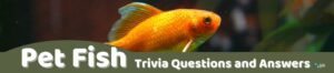 57 Fish Trivia Questions (and Answers) | Group Games 101