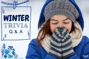 47 Winter Trivia Questions (and Answers) | Group Games 101