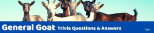 33 Goat Trivia Questions (and Answers) | Group Games 101