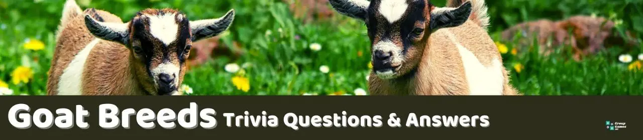33 Goat Trivia Questions (and Answers) | Group Games 101
