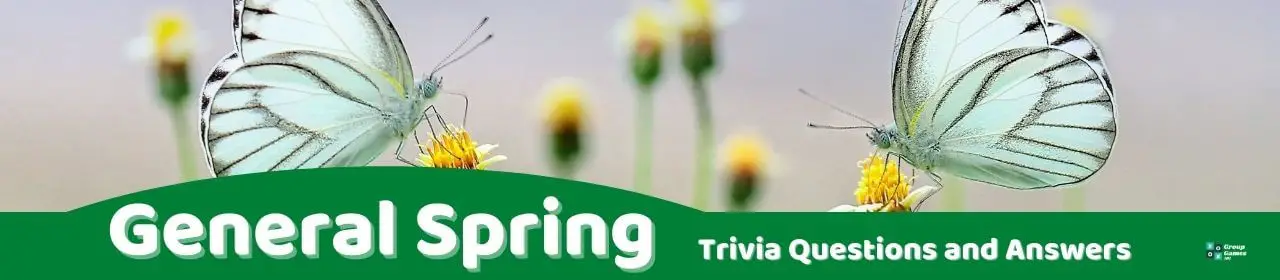 43 Spring Trivia Questions (and Answers) | Group Games 101