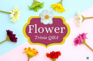 43 Interesting Flower Trivia Questions (and Answers) | Group Games 101