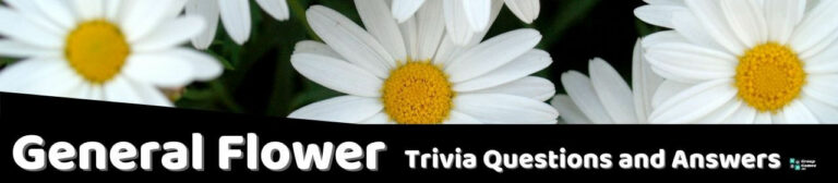 43 Interesting Flower Trivia Questions (and Answers) | Group Games 101