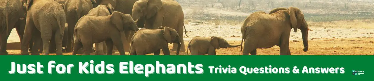 47 Elephant Trivia Questions (and Answers) | Group Games 101