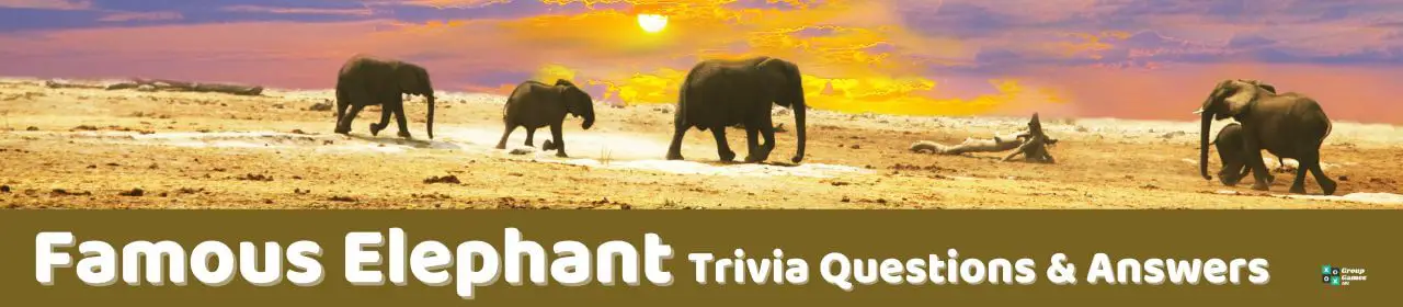 47 Elephant Trivia Questions (and Answers) | Group Games 101
