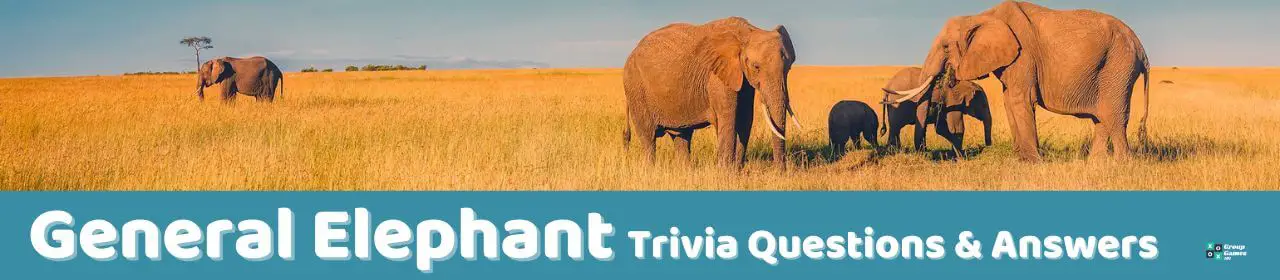 47 Elephant Trivia Questions (and Answers) | Group Games 101