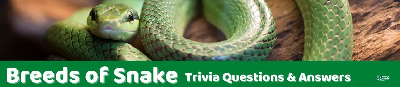 40 Snake Trivia Questions (and Answers) | Group Games 101