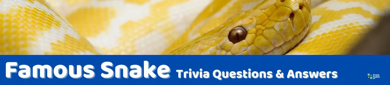 40 Snake Trivia Questions (and Answers) | Group Games 101