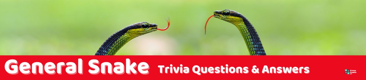 40 Snake Trivia Questions (and Answers) | Group Games 101
