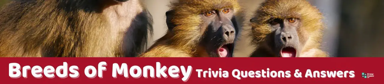51 Monkey Trivia Questions (and Answers) | Group Games 101
