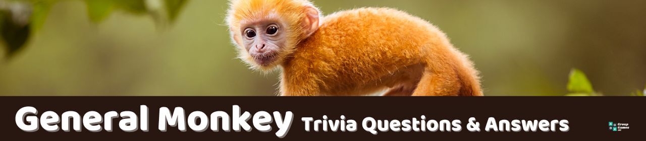 51 Monkey Trivia Questions (and Answers) | Group Games 101