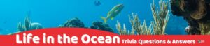 45 Ocean Trivia Questions (and Answers) | Group Games 101