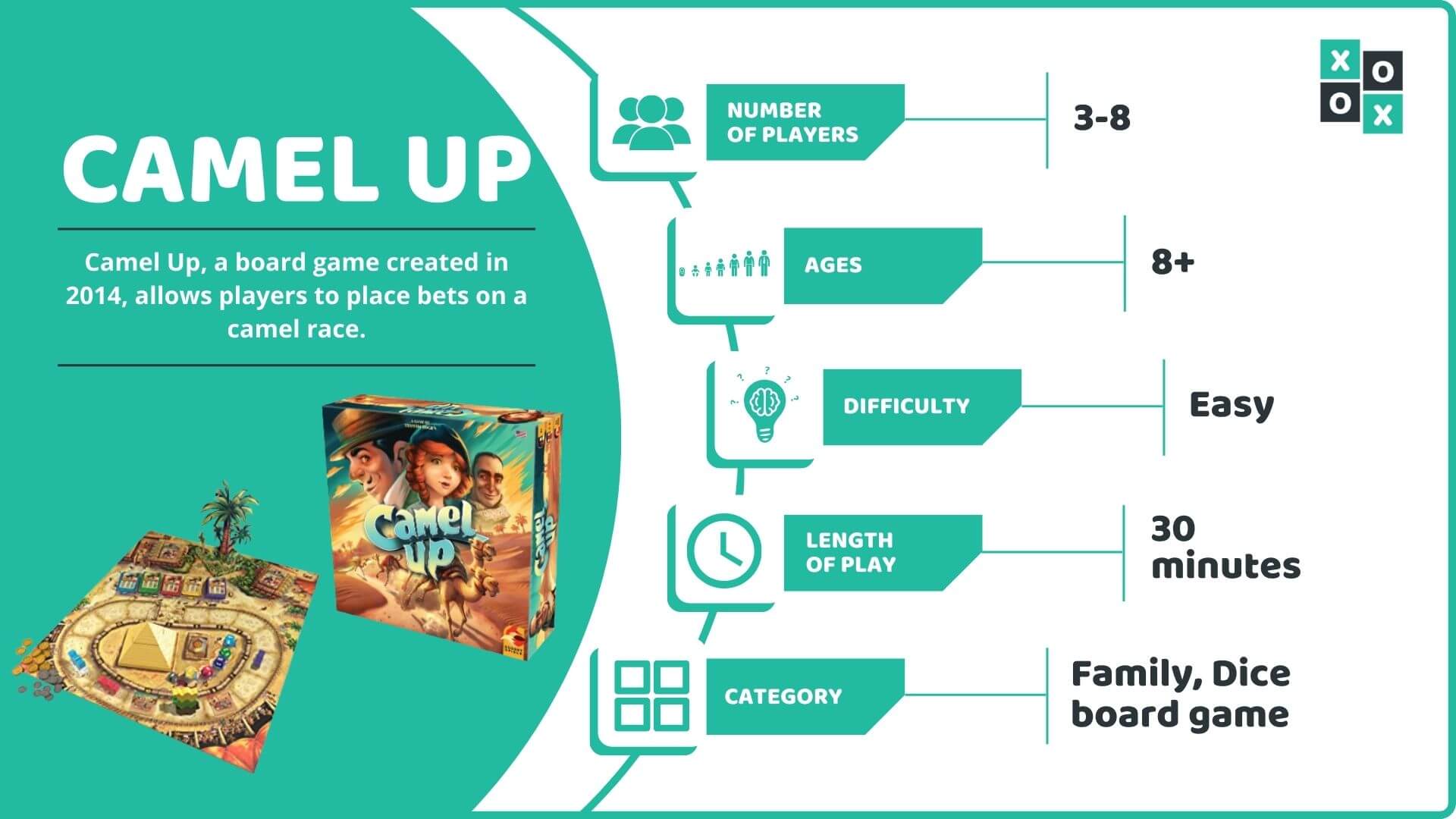 Camel Up: Rules and How to Play | Group Games 101