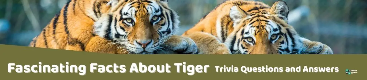 49 Tiger Trivia Questions (and Answers) | Group Games 101