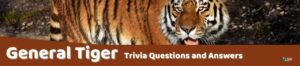 49 Tiger Trivia Questions (and Answers) | Group Games 101