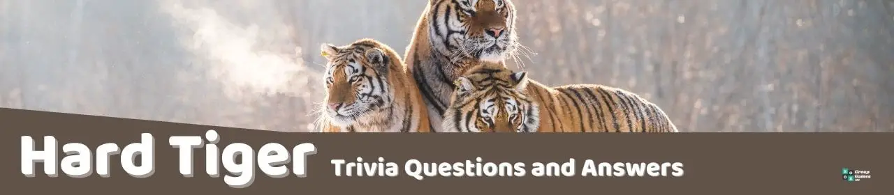 49 Tiger Trivia Questions (and Answers) | Group Games 101
