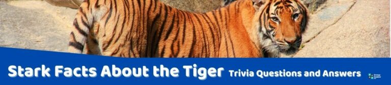 49 Tiger Trivia Questions (and Answers) | Group Games 101
