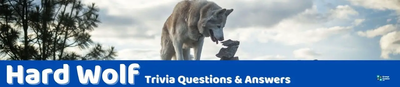40 Wolf Trivia Questions (and Answers) | Group Games 101
