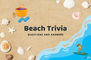 40 Beach Trivia Questions (and Answers) | Group Games 101