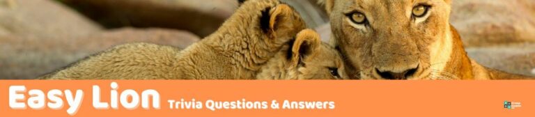 52 Lion Trivia Questions (and Answers) | Group Games 101
